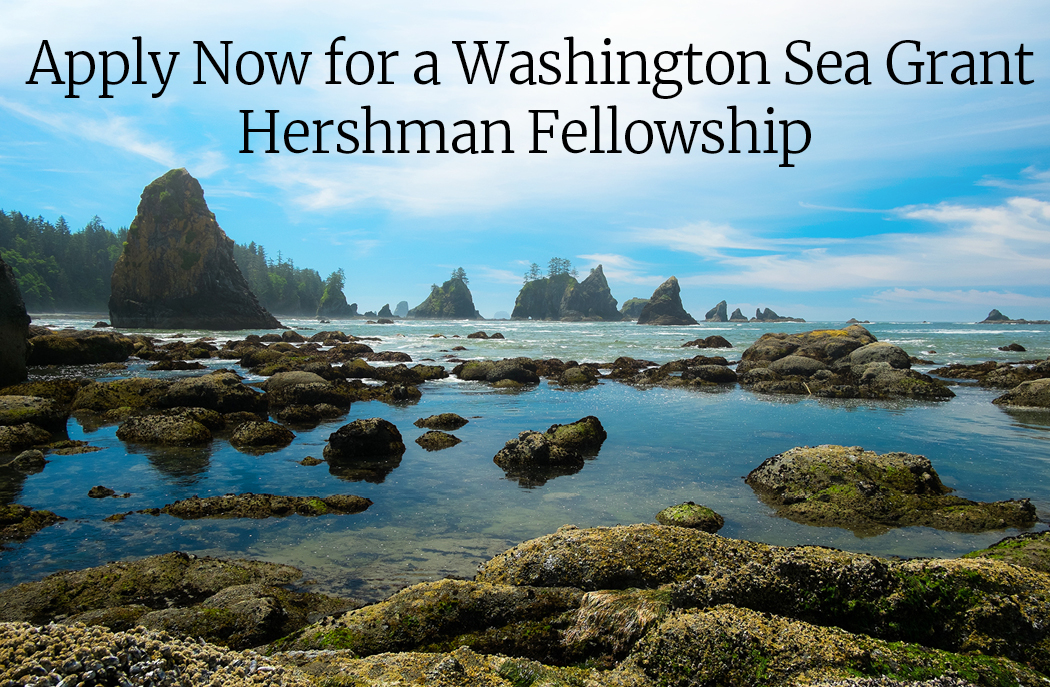 May 5 Deadline: WA Sea Grant 23-24 Hershman Fellowship | Department of ...